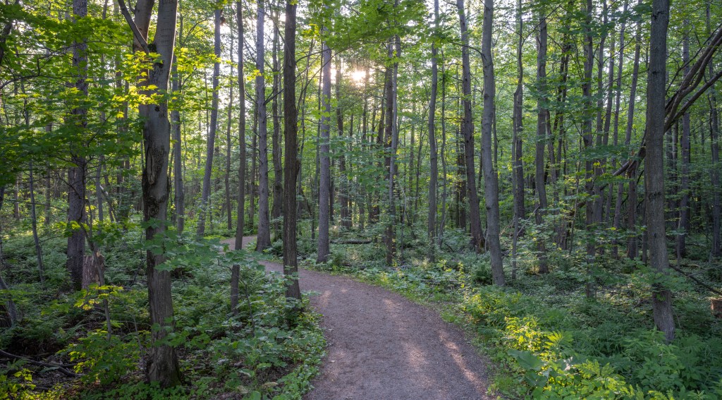 Une journée à bout de souffle pour les Sec 3 PMP ! | Journal L'AccROCHEur